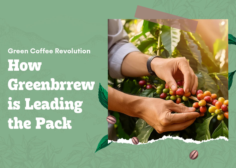 Green Coffee Revolution: How Greenbrrew is Leading the Pack